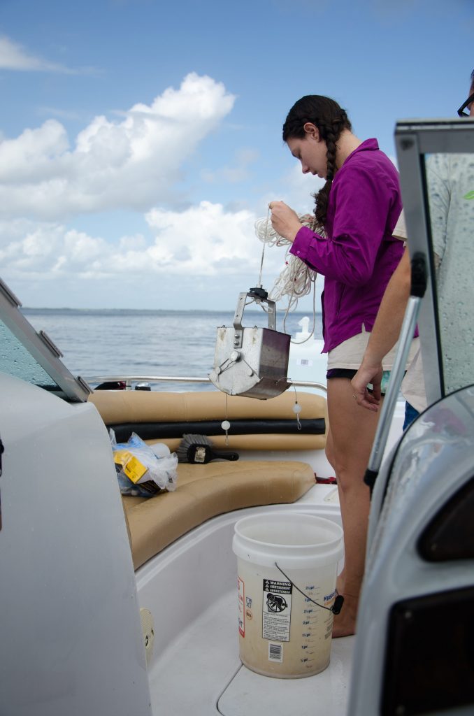 PFAS And Priority Pollutant Sampling - Applied Ecology